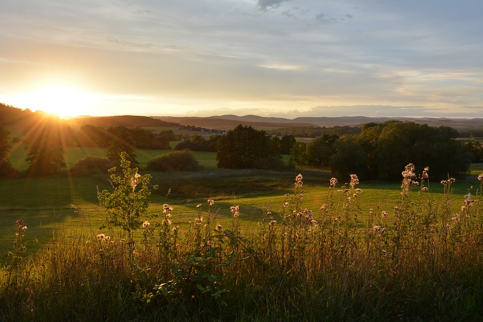 Murder in the Meadow Blog Tour with Author Faith Martin – Mystery ...